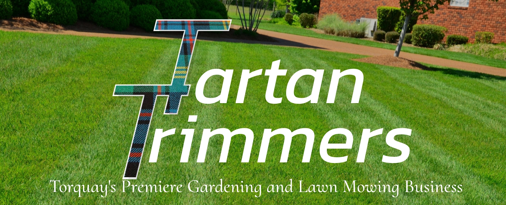 Torquay Lawn Mowing - from $40